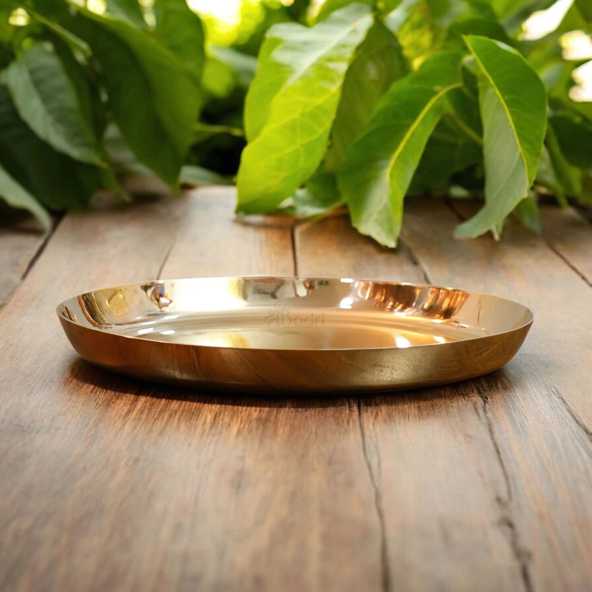 Pure Kansa Bronze Plate for Dining – Ayurvedic Thali for Daily Use ...